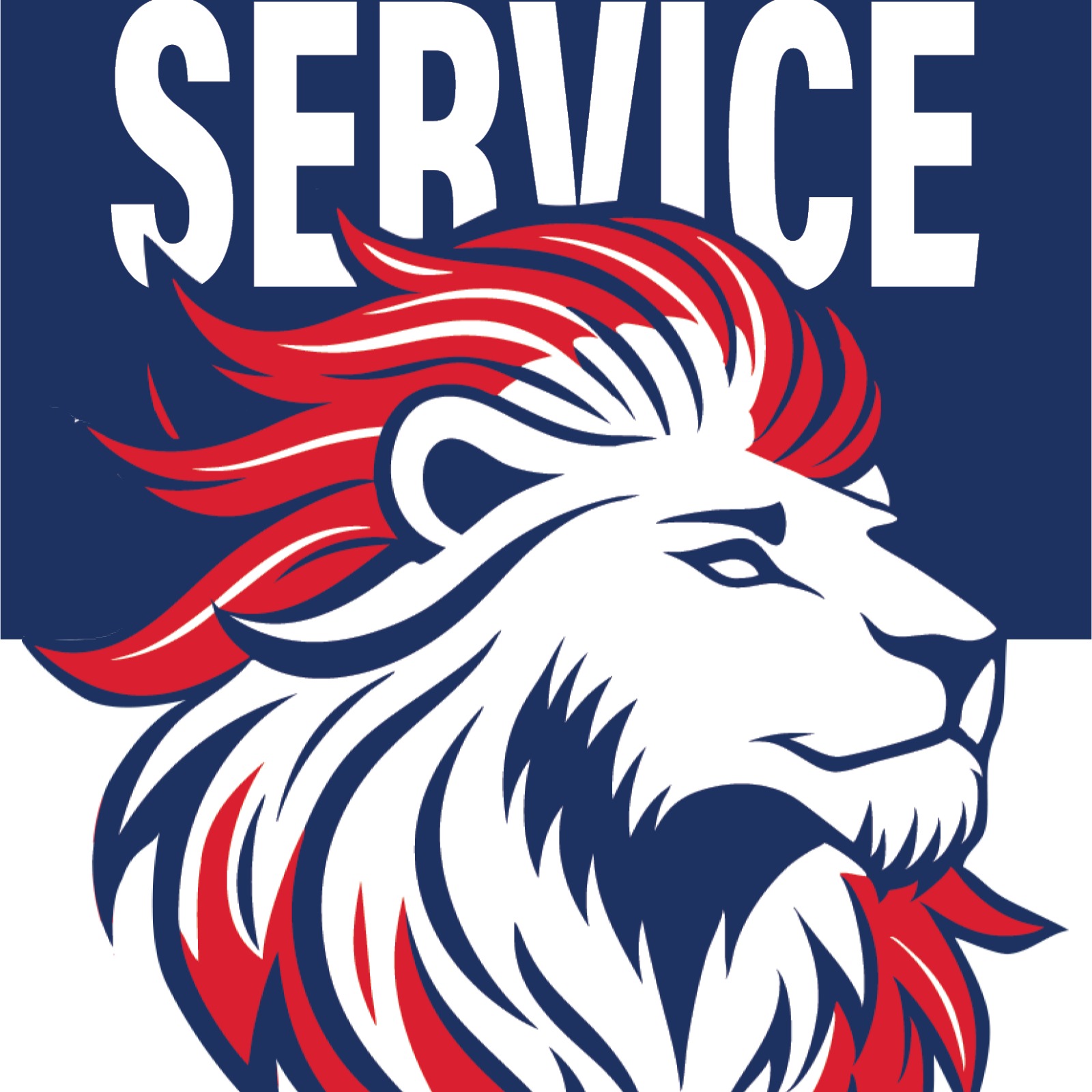 Programs - LionsUSA
